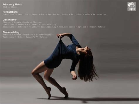 Exploratory Social Network Analysis With Pajek Blockmodels Ppt Free Download