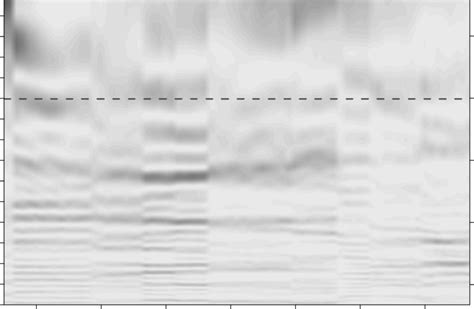 The Spectrogram Of The Earthquake Flow See Text For Explanations