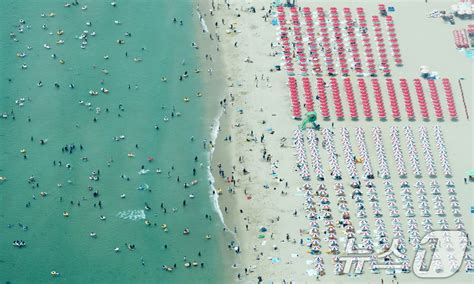 절정으로 치닫는 여름 피서 뉴스1