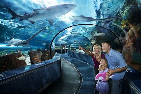 À Quelle Heure Ferme Laquarium Ripley