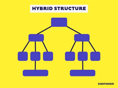11 Types Of Organizational Structures Examples