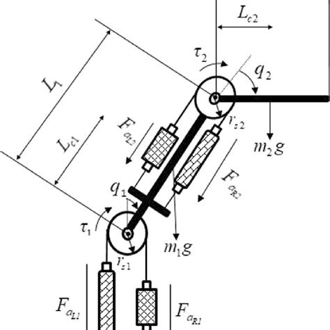 A 2 Link Robot Manipulator Actuated By Pams Download Scientific Diagram