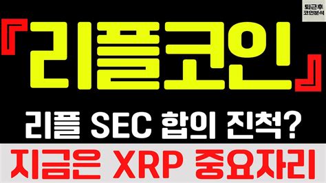 리플 코인전망 리플 홀더분들 지치셨죠 하지만 정말 큰거 옵니다 리플코인 리플코인전망 리플코인호재 리플소송결과