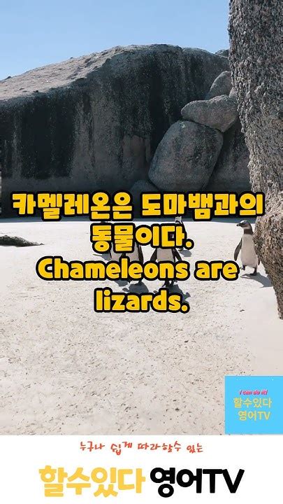 50초 발음 어려운 영어단어 미국영어 반복재생영어 초보영어 영어반복 생활영어 반복영어 영어회화 Shorts Youtube