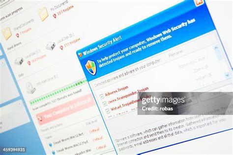 Bug Screen Window Photos And Premium High Res Pictures Getty Images
