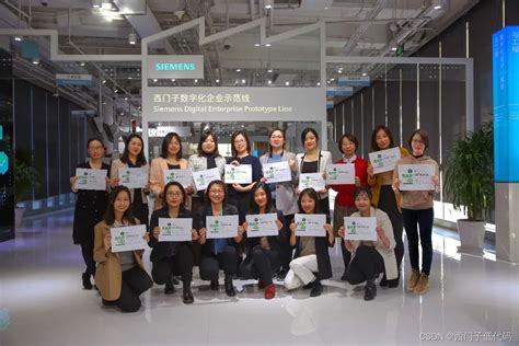 客户案例 低代码上的西门子，商务人员也能开发软件应用 qlik sense 和 mendix csdn博客