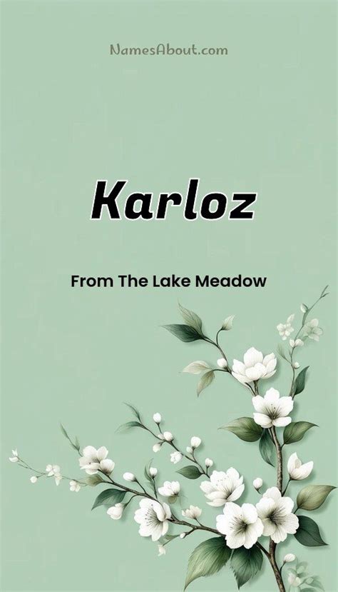 Karloz Name Meaning Origins Nicknames Sibling Ideas