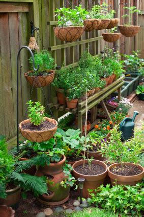 Container Gardening How To Grow Vegetables In Containers Diygardenplans