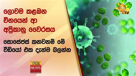 ලොවම කළඹන චීනයෙන් ආ අප්‍රිකානු වෛරසය සොසේජස් කනවනම් මේ වීඩියෝ එක දැන්ම බලන්න Hiru News Youtube