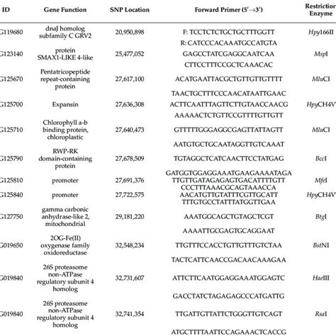 List Of Cleaved Amplified Polymorphic Sequence Caps Markers Developed