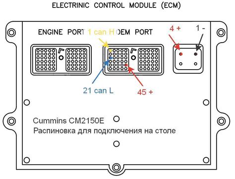 How To Wire The Lci Step Control Module 164889 A Comprehensive Wiring Diagram Guide