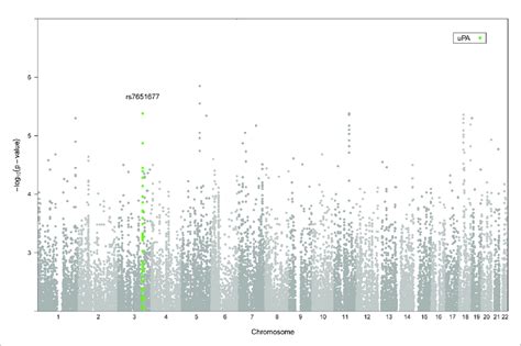 manhattan plot showing the genome wide p values of association with