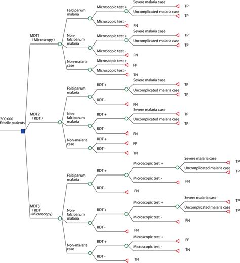 Basic Structure Of Decision Tree Positive Negative Fn