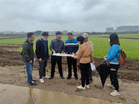 市自然资源局开展2022年度耕地恢复项目验收工作保护中山市农业