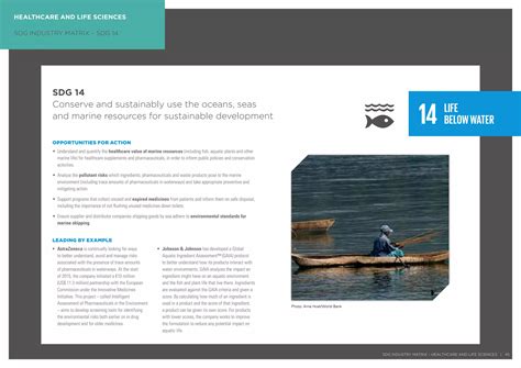 Sdg Matrix Healthcare Ppt