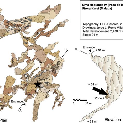 A View In Norma Frontalis Of The Frontal Bone 7001 And B View In Download Scientific