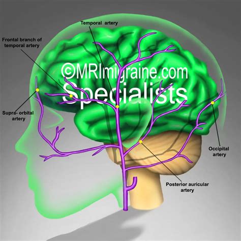 Migraine Medication Dangers And Side Effects Of Mybulen Aka Myprodol
