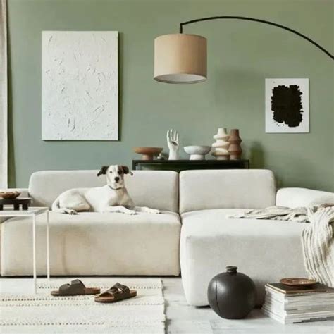 Ncs S 4020 B50g Vs Ncs S 3010 G30y Comparison