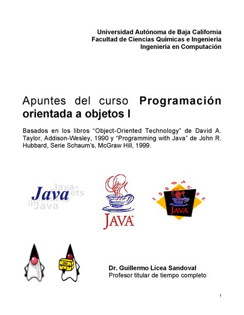 Lenguaje Java Manual Completo Apuntes De Programación Orientada A