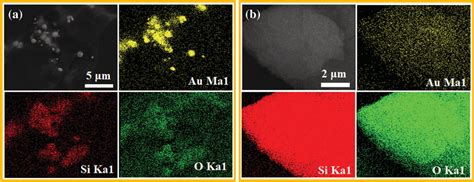 Reference Sem Images And Chemical Composition Mapping Of A The Download Scientific Diagram