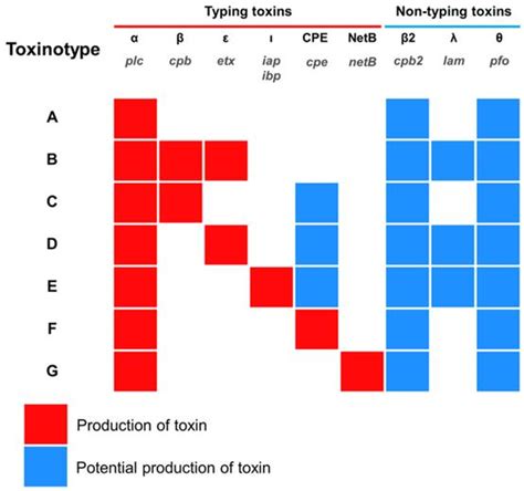 Clostridium Perfringens Antigens Creative Diagnostics