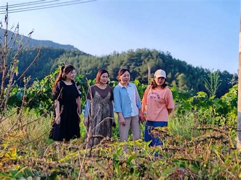 潜山市妇联到水吼镇督查省级“徽姑娘”项目实施工作澎湃号·政务澎湃新闻 The Paper