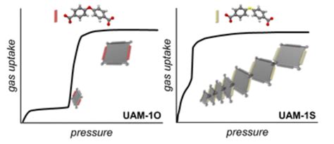 Publications The Stefankiewicz Group