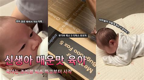 신생아 매운맛 육아 브이로그 ㅣ 산후도우미 없이 육아하기 현실육아 부가부 폭스 유모차 택배로 온날 YouTube