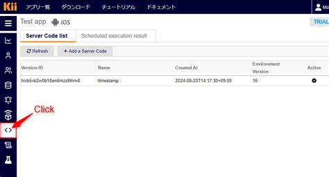Managing Server Code With Developer Portal