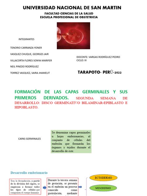 Formación De Las Capas Germinales Y Suus Primeros Derivados Pdf