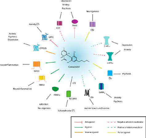Figure 1 From Sex Differences In The Neuropsychiatric Effects And Pharmacokinetics Of