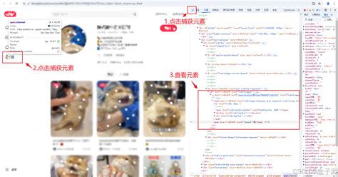 Selenium爬虫教程【合集】实战 某红书笔记列表获取selenium爬虫 某红书 Csdn博客