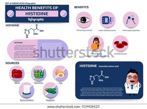 Set Health Benefits Histidine Essential Amino Stock Vector Royalty Free 519436525 Shutterstock