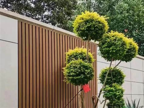 Create A Classy Look With Wpc Wall Panel Design