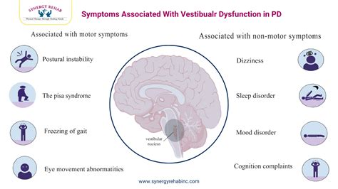 Vestibular Disorders Causes Symptoms And Treatment Option