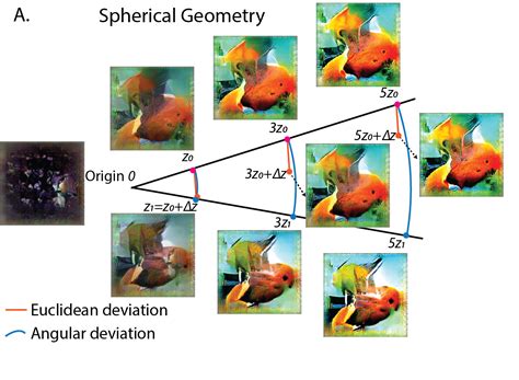 Develop High Performance Evolutionary Algorithms For Online Neuronal Control Actmax Optimizer Dev