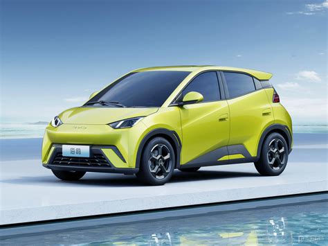 暖阳白海鸥官图官图图片海鸥 2023款 305km 自由版 7600179太平洋汽车网