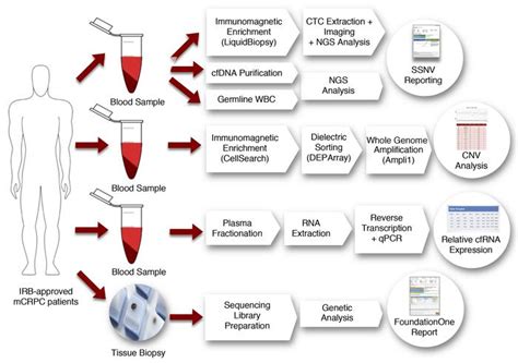 Jci Insight Multiparametric Liquid Biopsy Analysis In Metastatic Hot