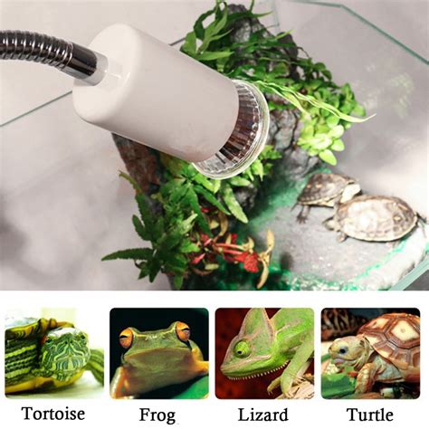 Reptile Uva Uvb Lamp With Clip On Bulb Holder Kit Turtle Basking Uv Heating Set Tortoises