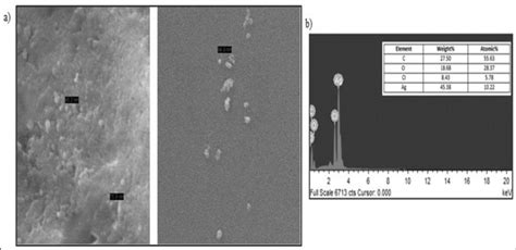 Scanning Electron Microscopy Sem Image Of Biosynthesized Agnps A Download Scientific