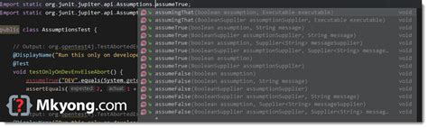 Junit Assumptions With Examples All Learning