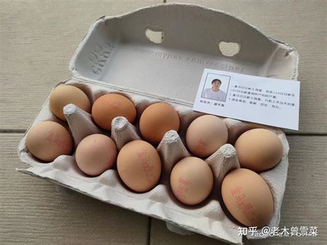 2021吃好蛋~我买过的那些电商鸡蛋 知乎