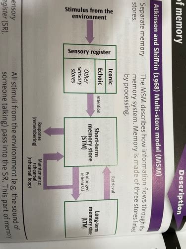 Memory Flashcards Quizlet Memory Flashcards Quizlet