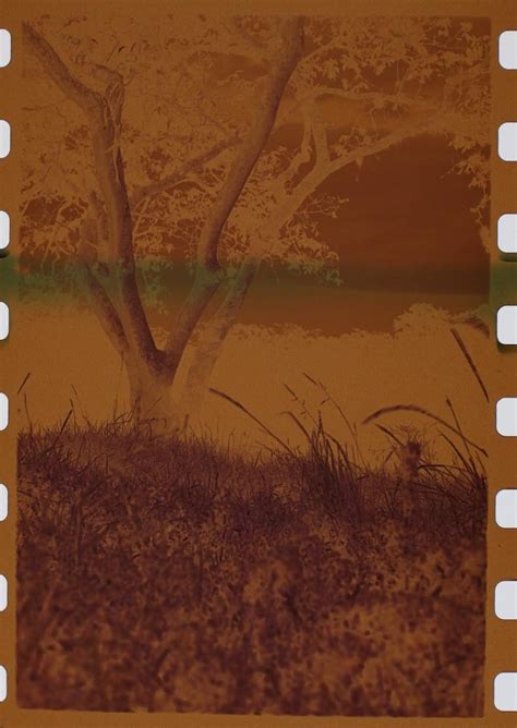 Using Gimp For Negatives How Can I Fix The Blue Dots R Gimp