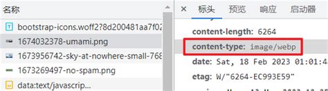 Nginx 自动转换图片为 Webp 格式 Jovialchap