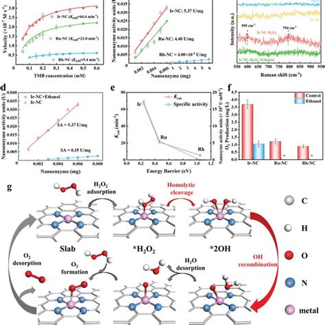 Detection Of Key Intermediate And Reaction Pathway Of H2o2 Download Scientific Diagram