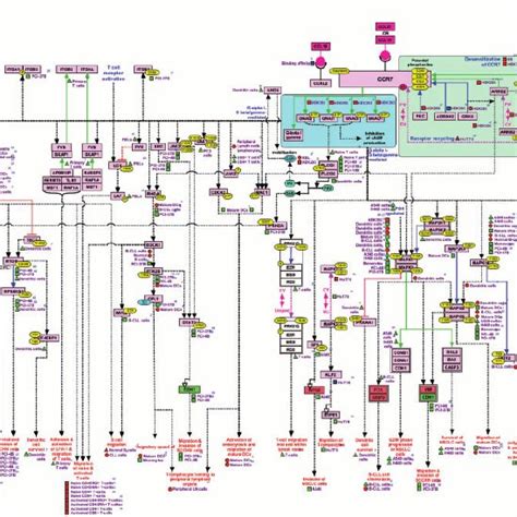 Schematic Representation Of The Gpcr Signaling Pathway Protein