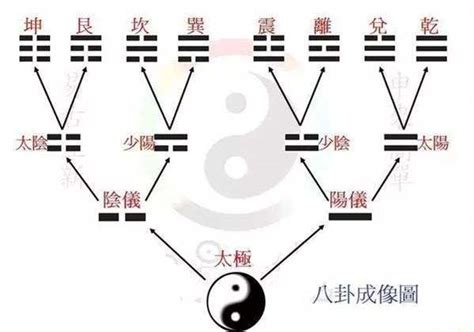六爻卦入门及六爻基础断卦的方法分享 易师汇传统文化