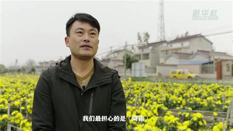 江苏金湖：“黄金”花儿开 幸福就业稳凤凰网视频凤凰网