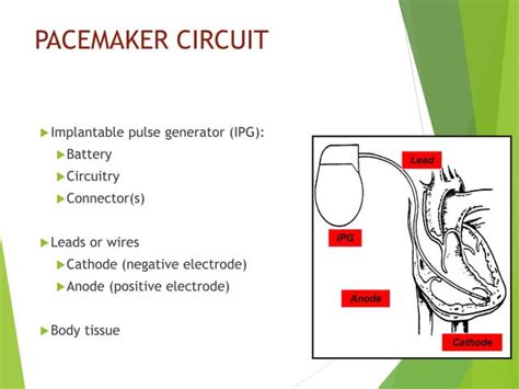 Pacemaker Basic And Timing Cycle Pptx Heart And Cardiovascular Diseases Diseases And Conditions